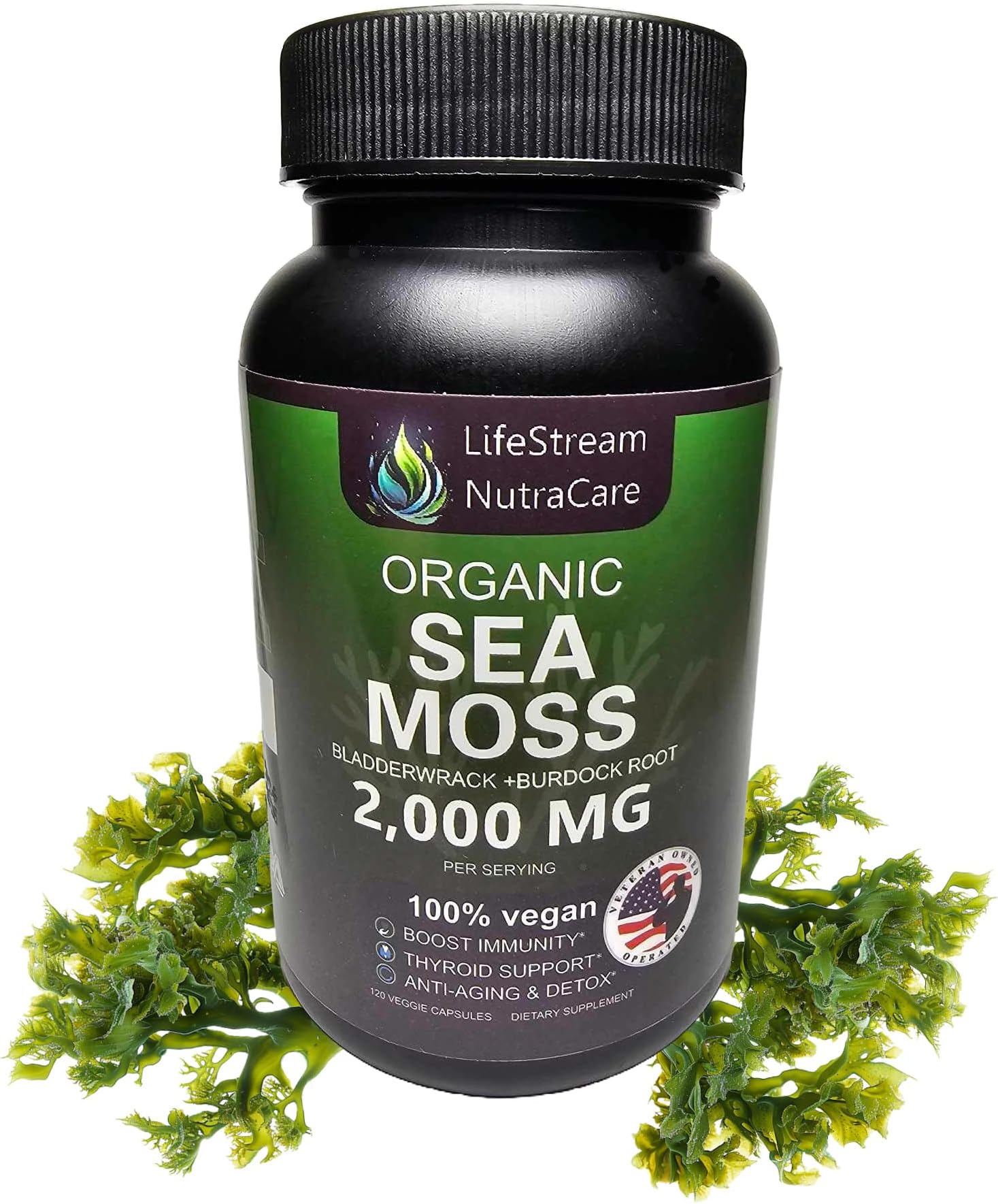 Amazon.com: VOLTZAP Sea Moss Capsules 2000mg: Irish Sea Moss - Burdock ...