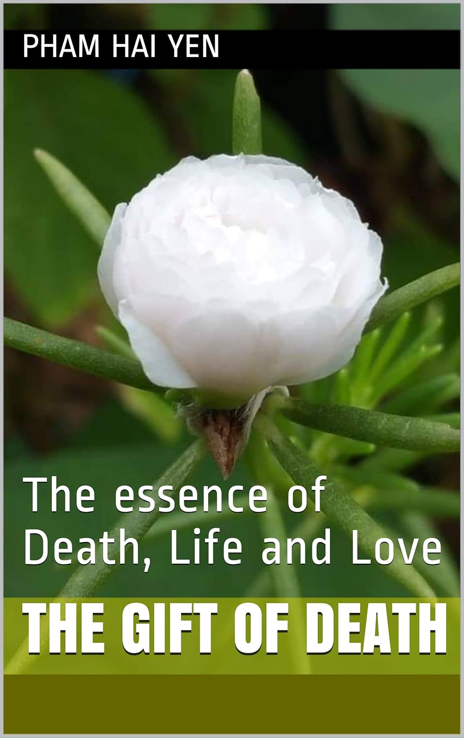The Gift of Death: The essence of Death, Life and Love - Kindle edition ...