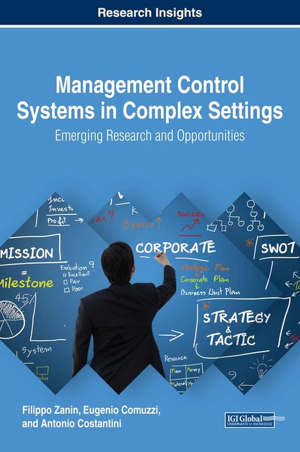 Management Control Systems in Complex Settings: Emerging Research and ...
