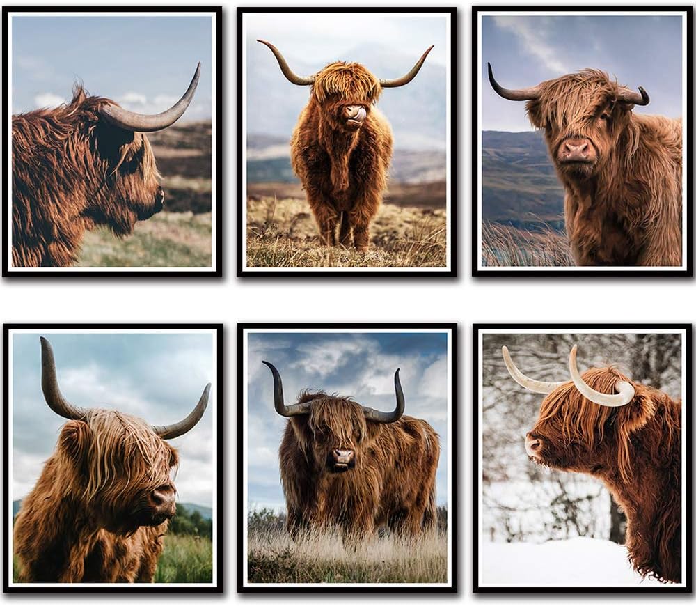 Amazon.com: Highland Cow Art Wall Decor| Cow Wall Art Poster | Cow ...