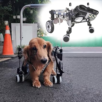Amazon.com: Jievmrs Dog Front/Back Leg Support Cart with 4 Wheels ...