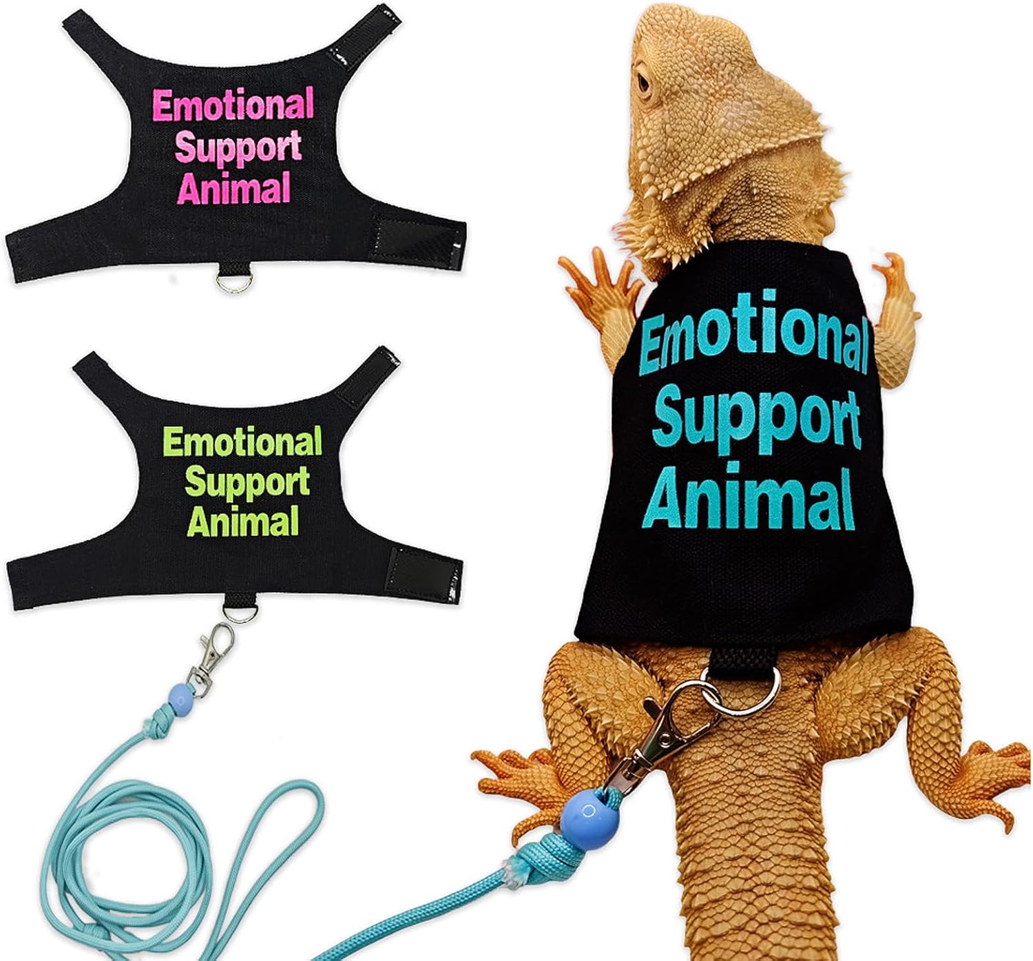 Amazon.com : Bearded Dragon Lizards Clothes with Leash Set - Cute ...