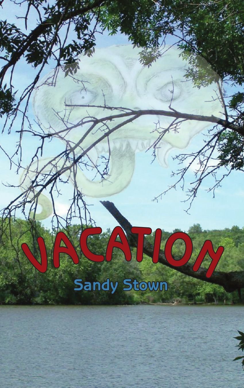 Vacation: Stown, Sandy: 9781412092760: Amazon.com: Books