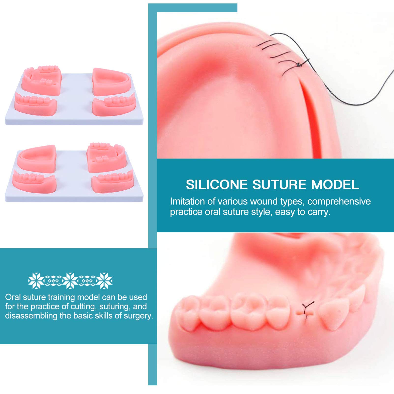 iplusmile Oral Suture Training Model Silicone Dental Suture Pad Kit for ...