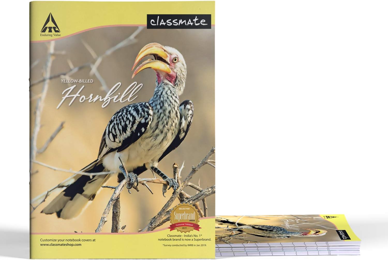 Classmate Notebook - 240mm x 180mm, Soft Cover, 172 Pages, Single Line ...