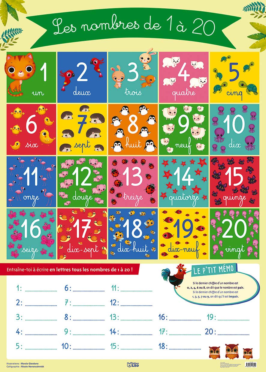 Amazon.in: Buy Poster les nombres de 1 a 20 Book Online at Low Prices ...