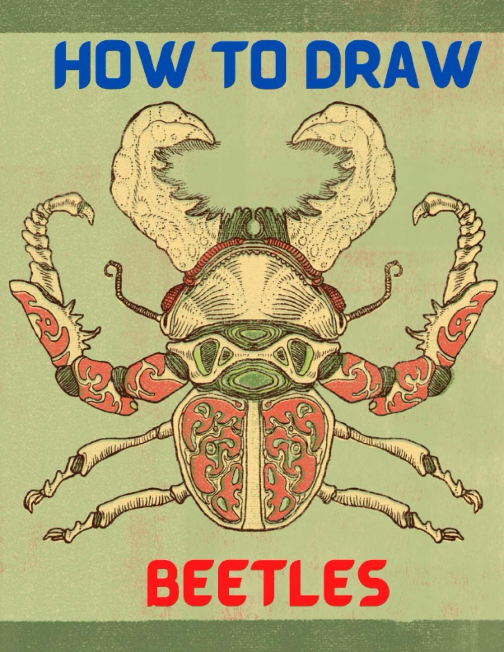 How To Draw Beetles Step By Step Simple And Easy | Desertcart INDIA