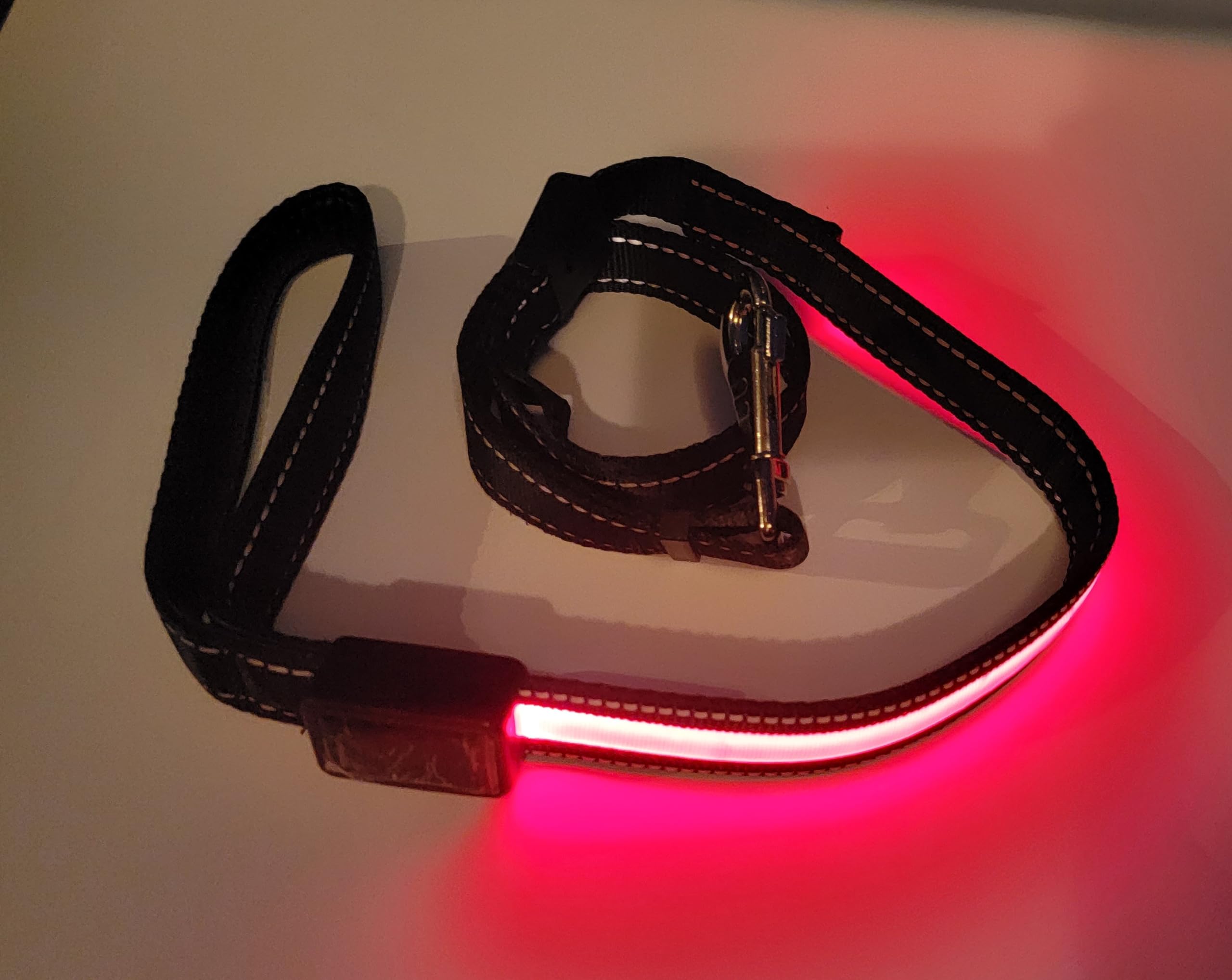 Amazon.com : Light Leash Dogs-Rechargeable LED Light Glowing Leash for ...