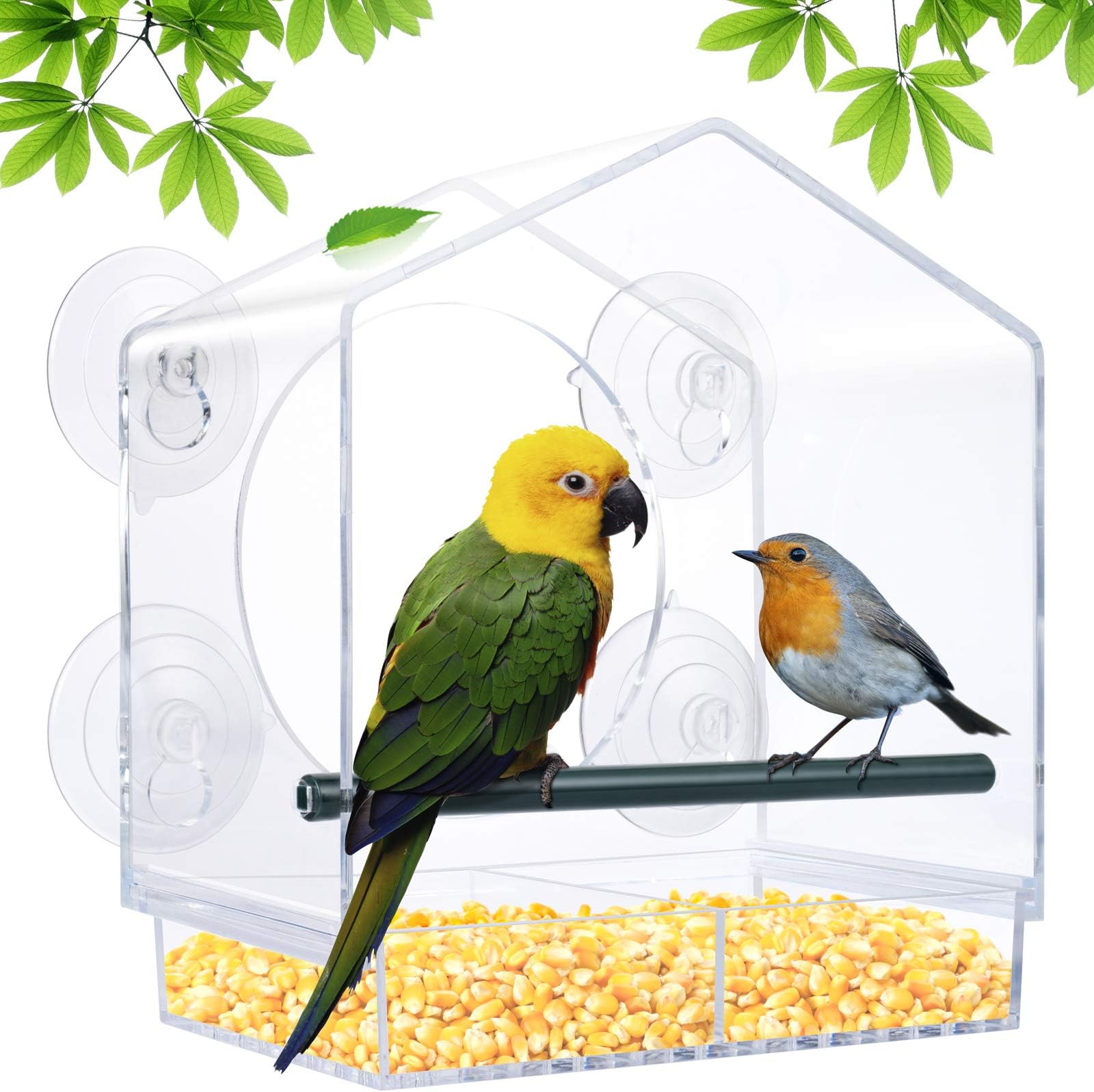 Amazon.com : Window Clear Plastic Bird Feeders with 4 Strong Suction ...