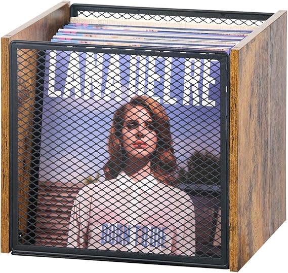 Amazon.com : LOFTEY Vinyl Record Storage, 50-60 Records Record Holder ...