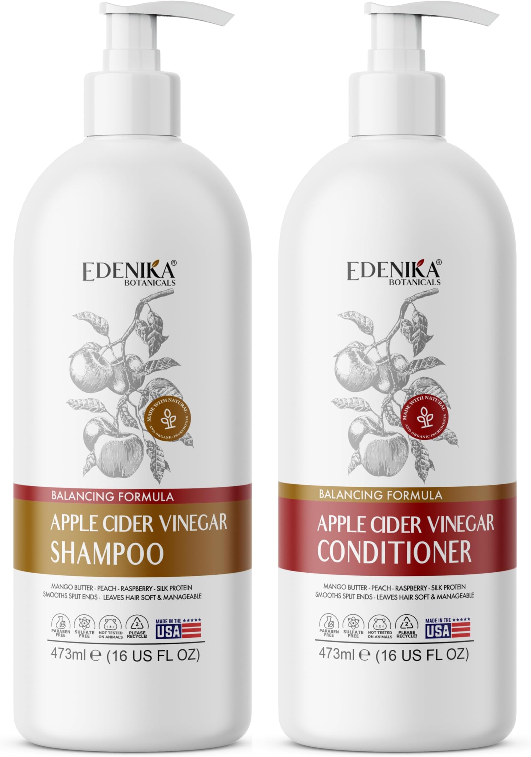 Amazon.com : Edenika Botanicals Ginger Shampoo and Conditioner Set ...