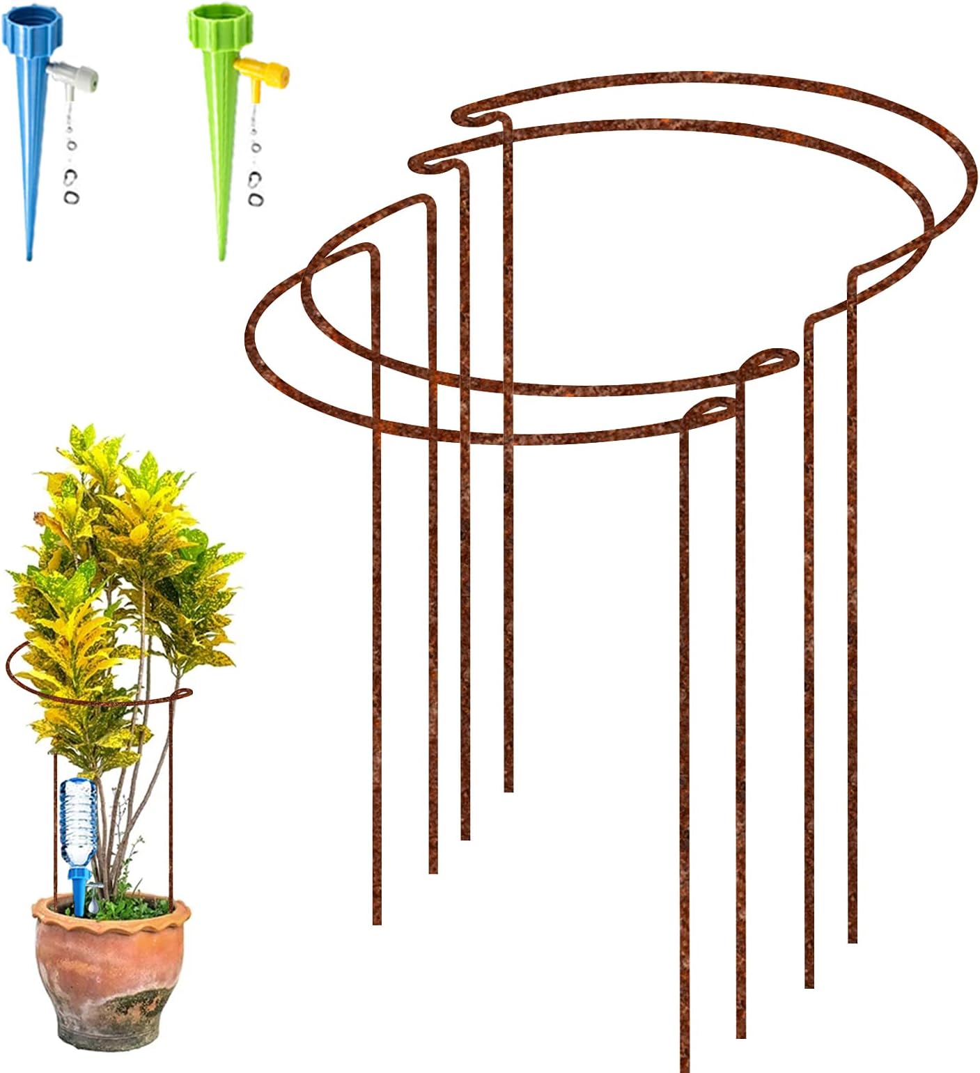GAP GARDEN PRODUCTS Metal Small Peony Plant Support (pack of 1) Bare ...
