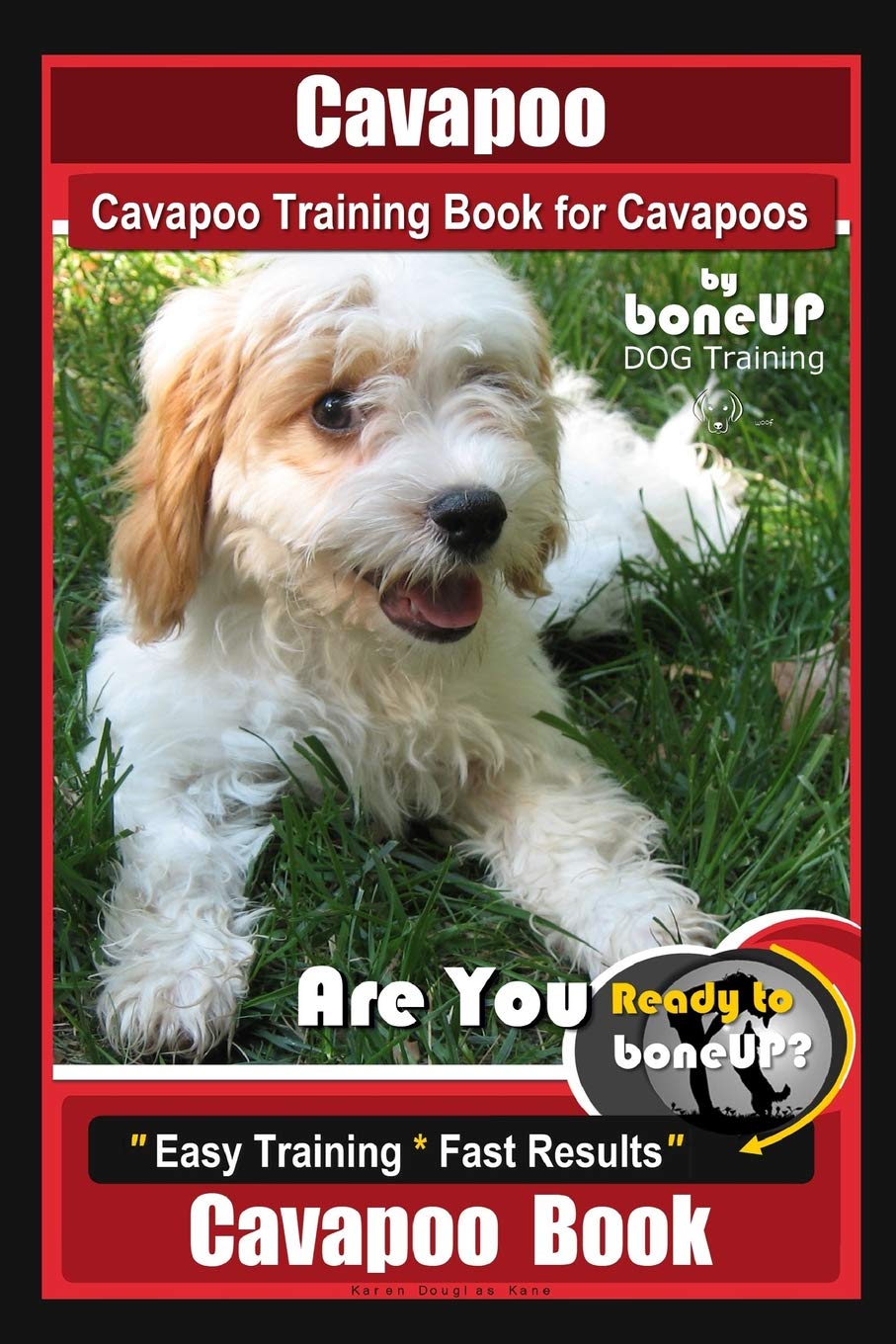 Are Cavapoos Easy To Train