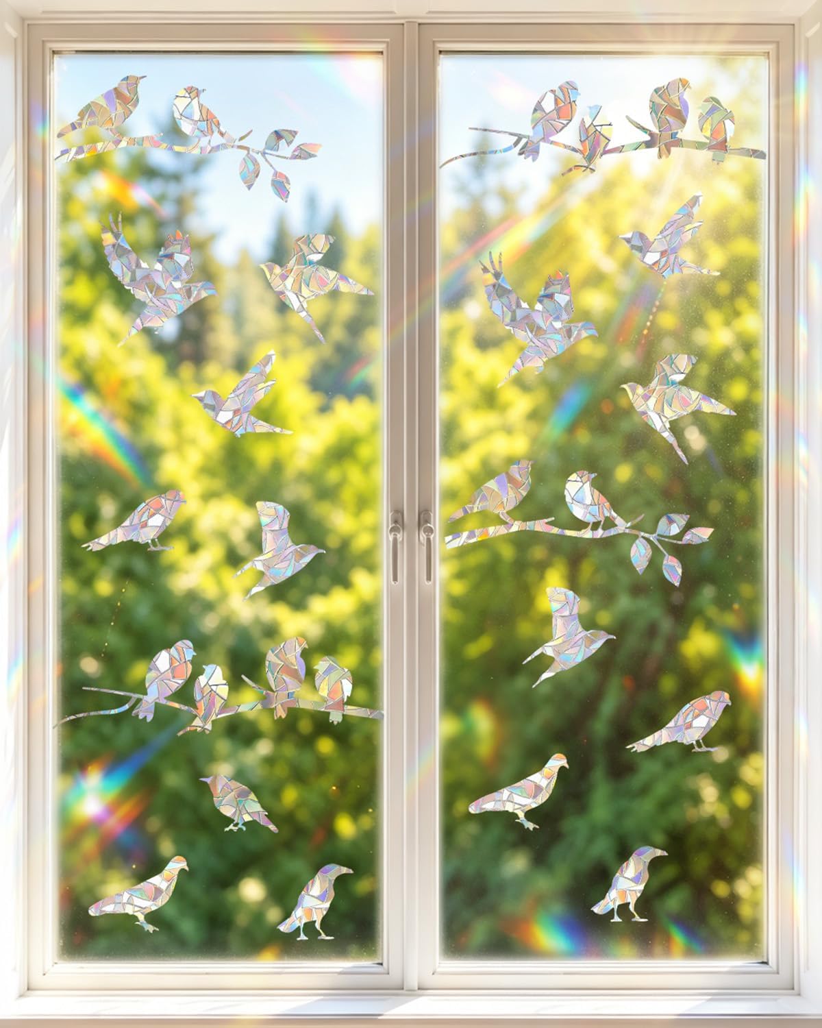Amazon.com: BTEOSPT Window Decals to Prevent Bird Strikes with Rainbows ...