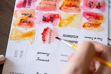 Amazon.com: Paint Your Own Watercolor Bible Tabs (Peel and Stick ...