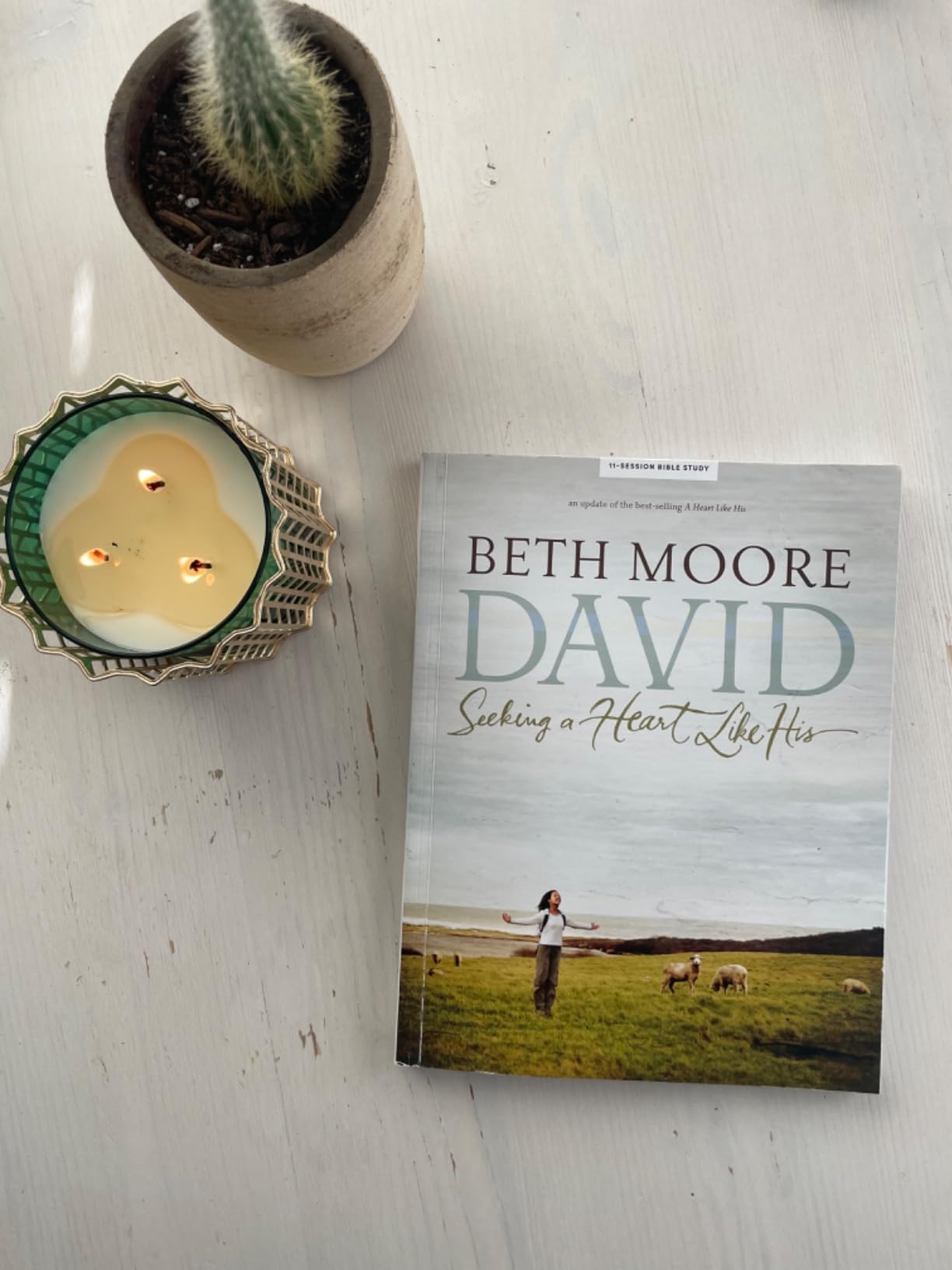 David Bible Study Book Updated Edition: Seeking a Heart Like His ...