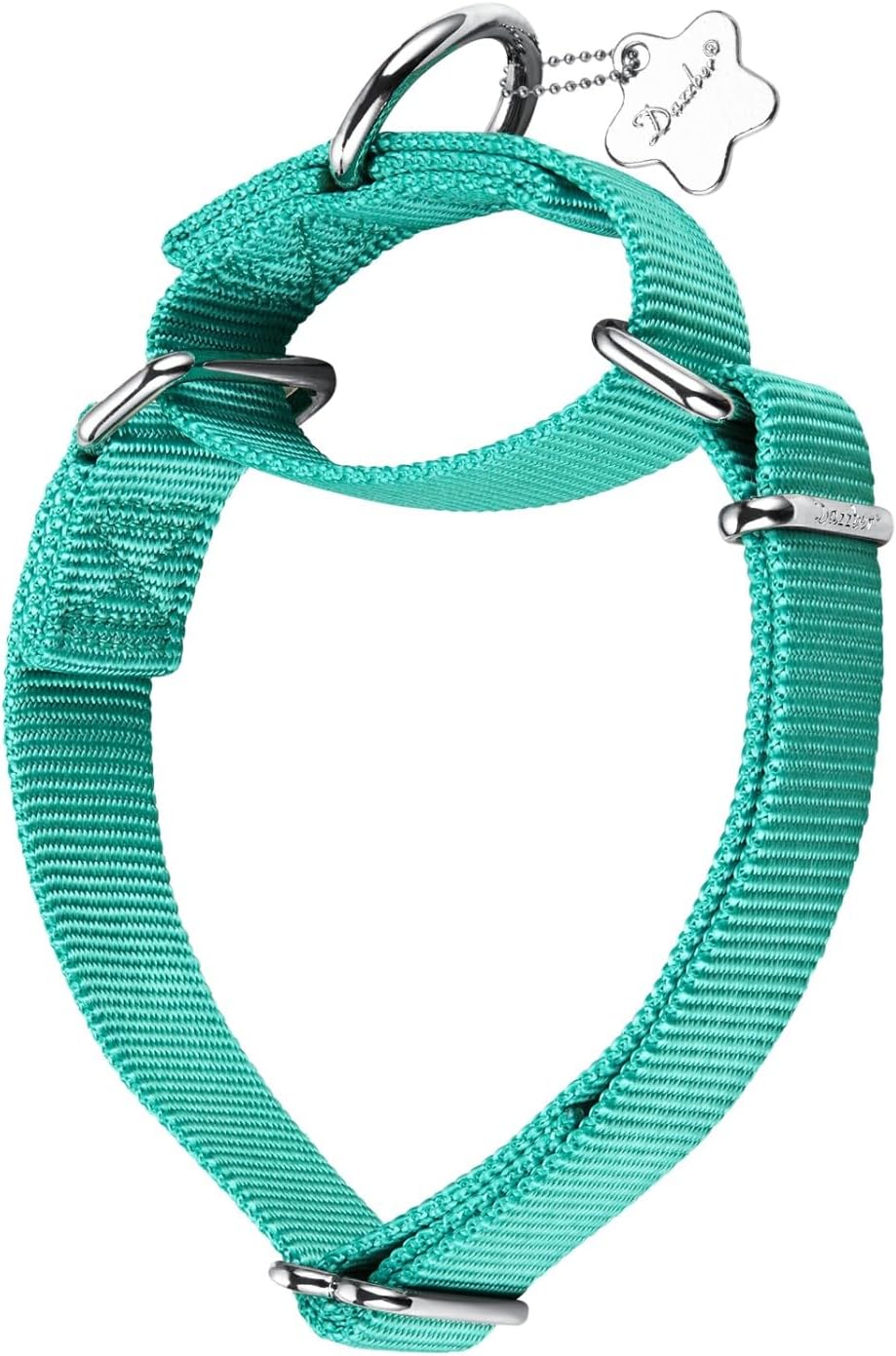 Amazon.com : Dazzber Martingale Dog Collar, Escape-Proof and No Slip ...