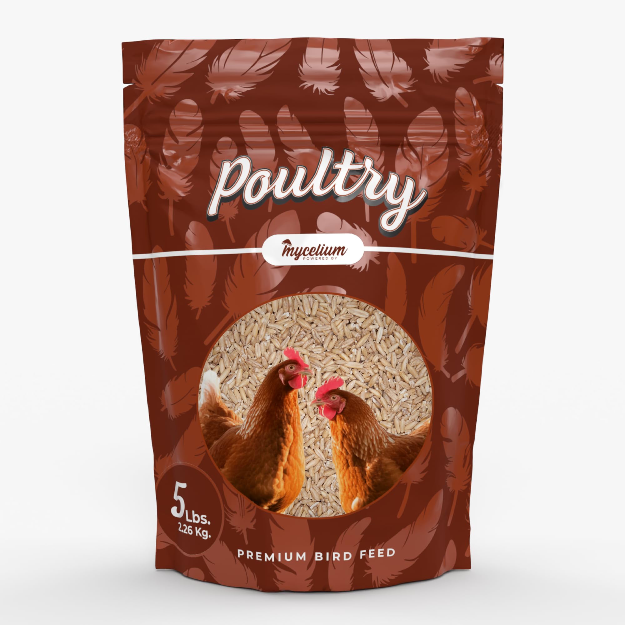 Snapklik.com : Premium Oat Groats Organic, Non-GMO, High Nutritional ...