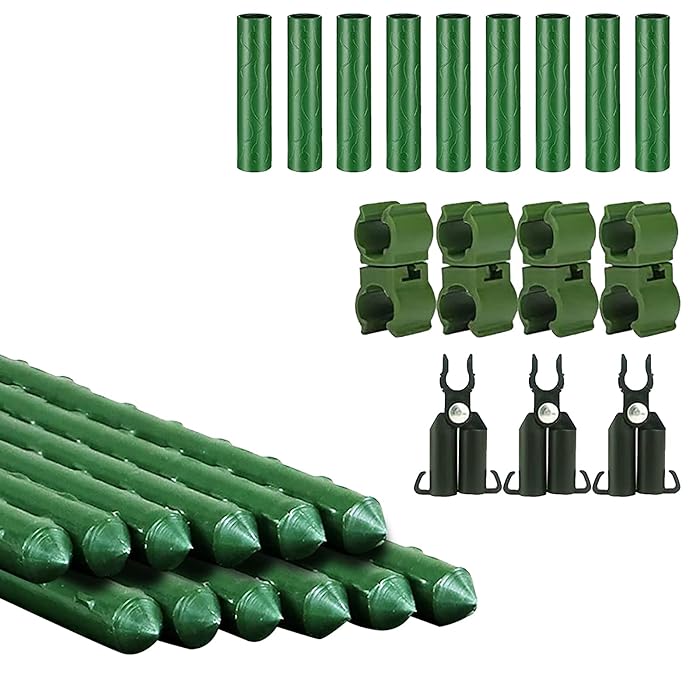 Buy Eyerayo Garden Stakes Plant Sticks Supports with Straight ...