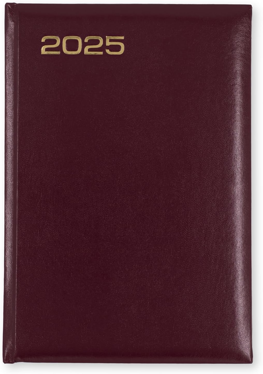 Mahavir Standard Diary 2025 | A5 Size | One-Day-to-a-Page New Year ...