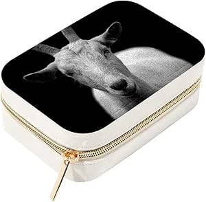 Amazon.com: Double Layer Portable Travel Mini Jewelry Case Display ...