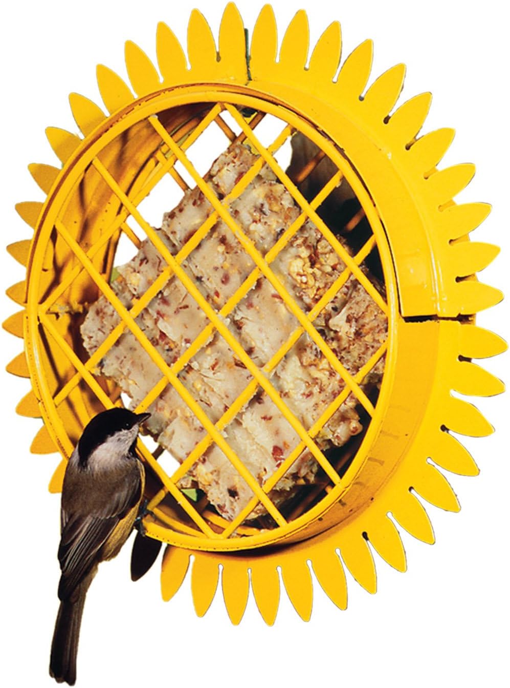 Amazon.com : Woodlink Sunflower Hanging Suet Feeder Model 2587 : Suet ...