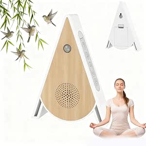 Amazon.com: Singing Bird Box, Nature Sound Box with Motion Sensor,Bird ...