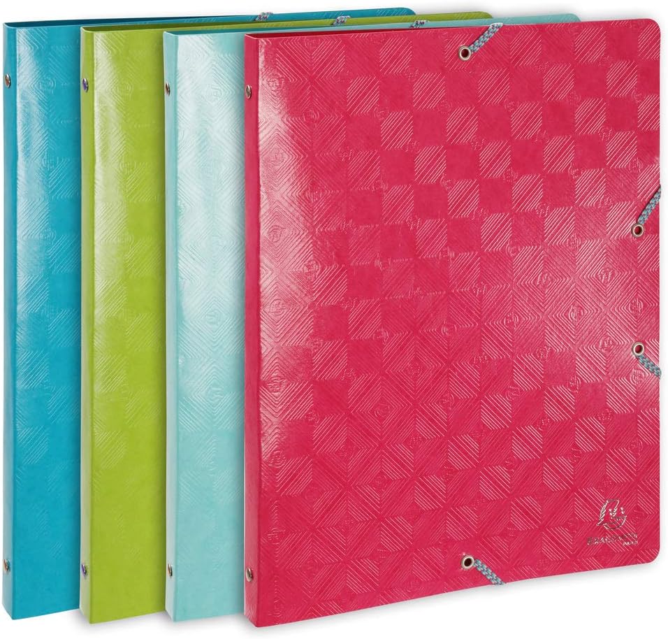 Exacompta - Ref. 51220E - Box of 10 elastic binders in coated glossy ...