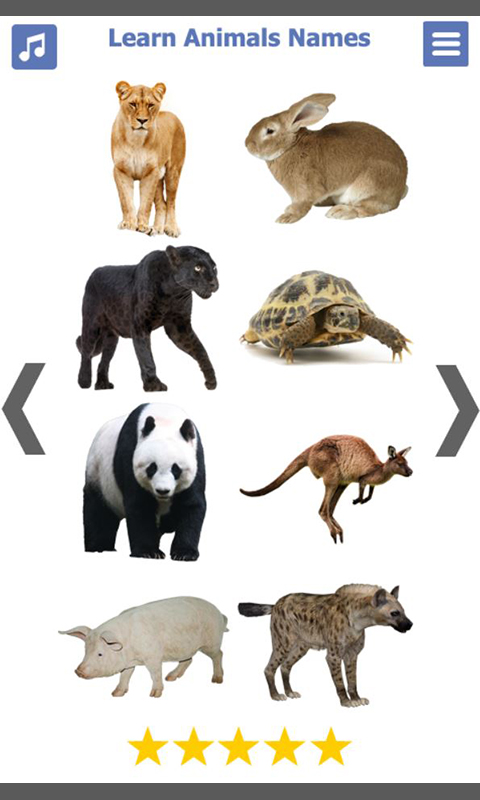 Unusual Animals Names 20 Animals With Ridiculously Funny Names