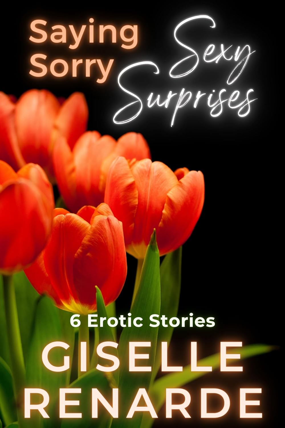 Amazon.com: Saying Sorry Sexy Surprises: 6 Erotic Stories eBook : Renarde, Giselle: Kindle Store