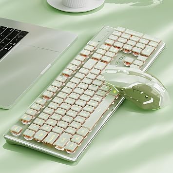 Amazon.com: SEUNKWANG V3 Wireless Keyboard and Mouse with Single ...