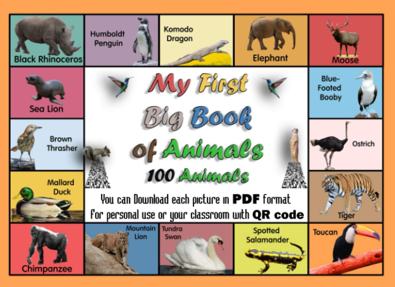 Buy My First Big Book of Animals 100 Animals: You can Download each ...