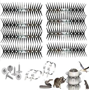 Amazon.com : MSJSZP Stainless Steel Rodent Spike, Stainless Steel ...