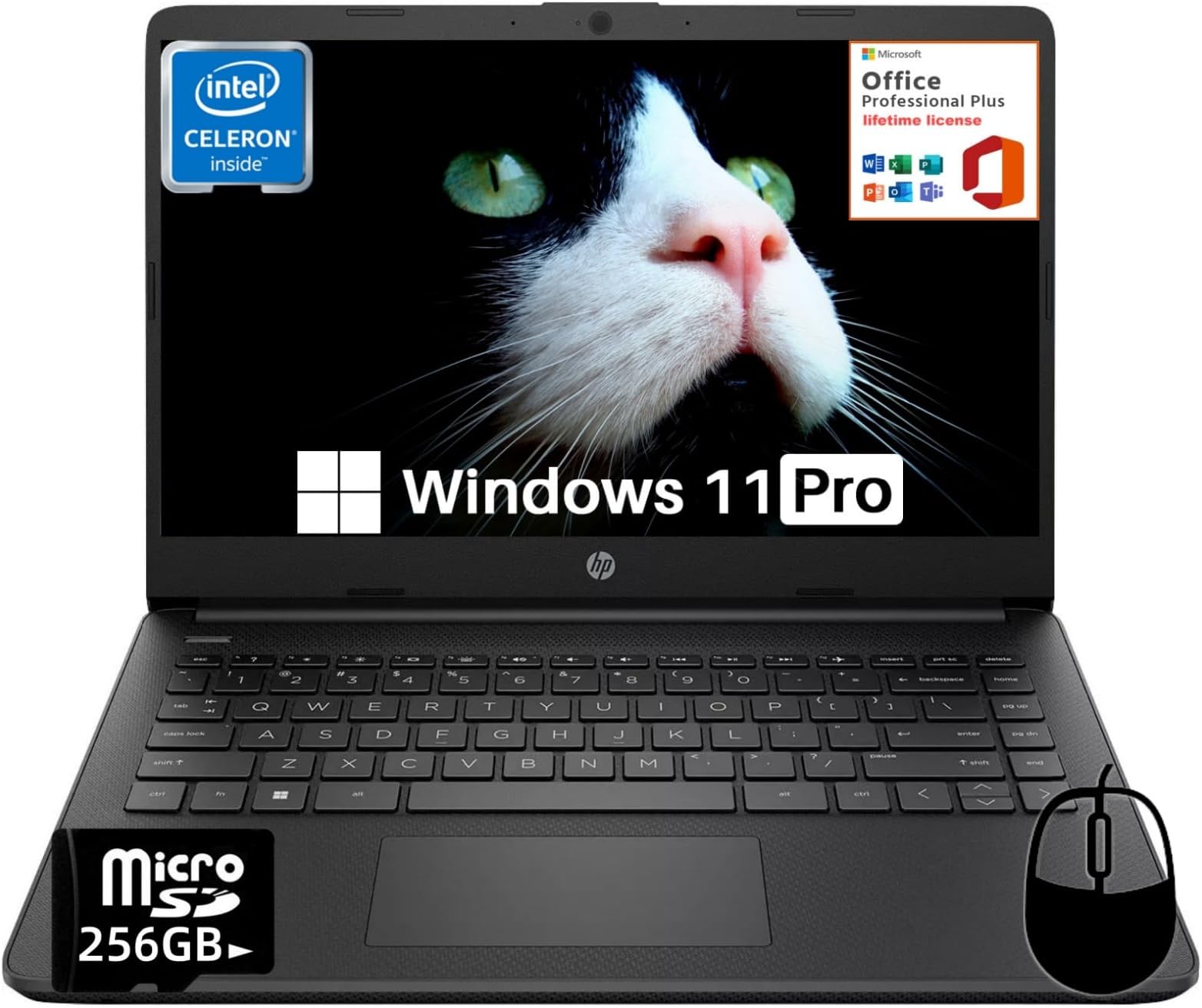 Amazon.com: HP 14" Student Laptop, Microsoft Office Pro Lifetime ...