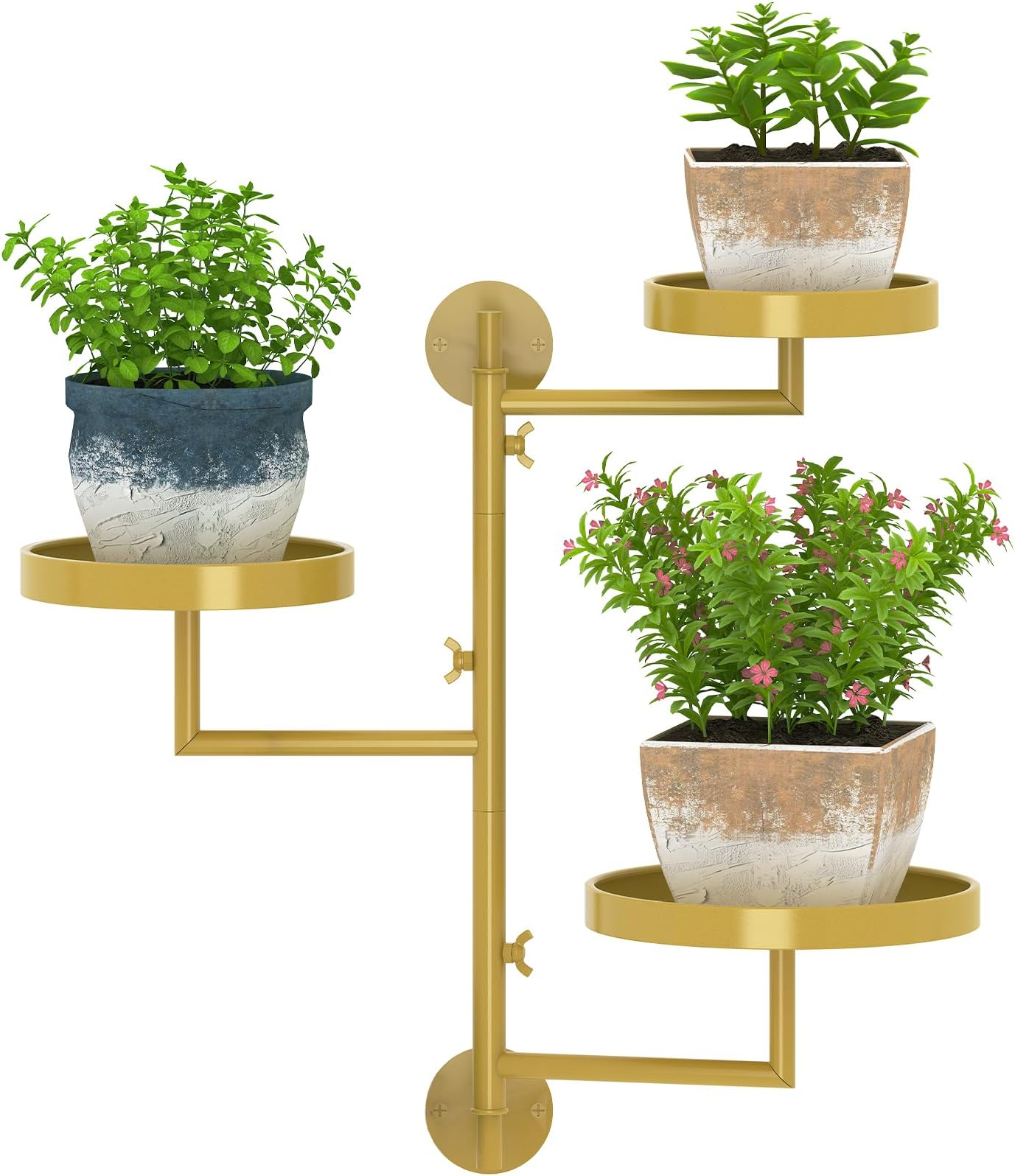 Amazon.com: Window Rotating Plant Shelf - 2-Tier Wooden Indoor Plant ...