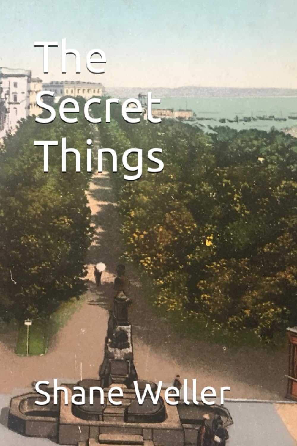 The Secret Things: Amazon.co.uk: Weller, Shane: 9798853720114: Books