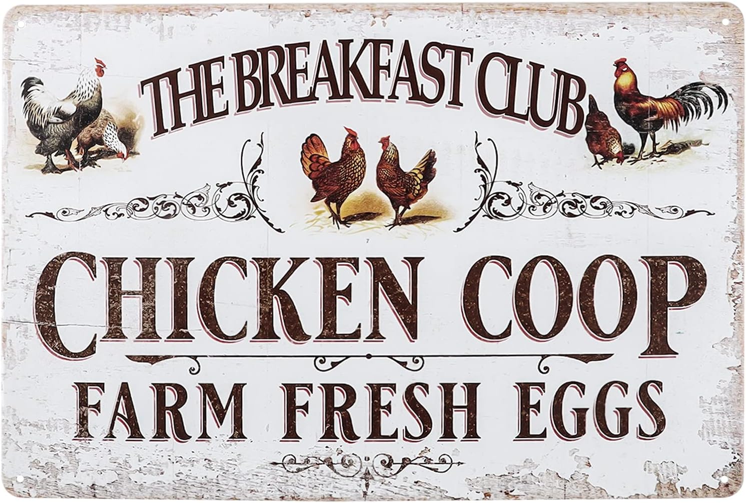 Amazon.com: Spring Vintage Chicken Sign for Coop, Retro Rustic Notice ...