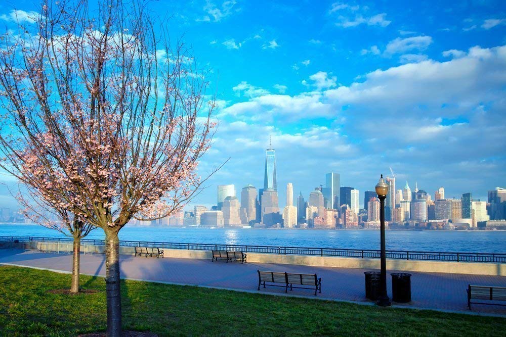 Amazon.com: Springtime in Manhattan Picture, New York City Skyline Wall ...