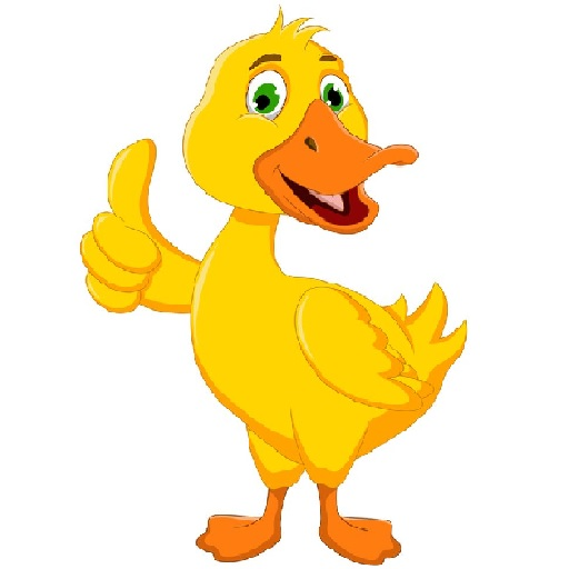 Duck - search browser - App on Amazon Appstore