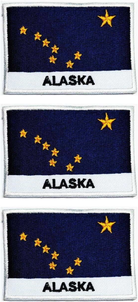 Amazon.com: ONCEX 3PCS. Alaska Flag Applique Patch Country Flag Alaska ...