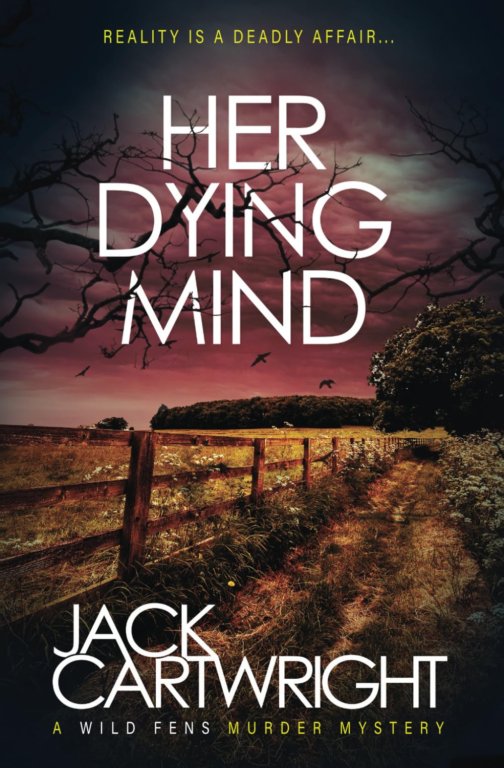Her Dying Mind: A Wild Fens Murder Mystery (The Wild Fens Murder ...
