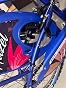 Buy BSA Ladybird Ladies Cycle in 24T Wheel Size with Integrated Carrier ...