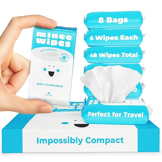 Amazon.com: Impossibly Compact Travel Flushable Wipes with Natural ...