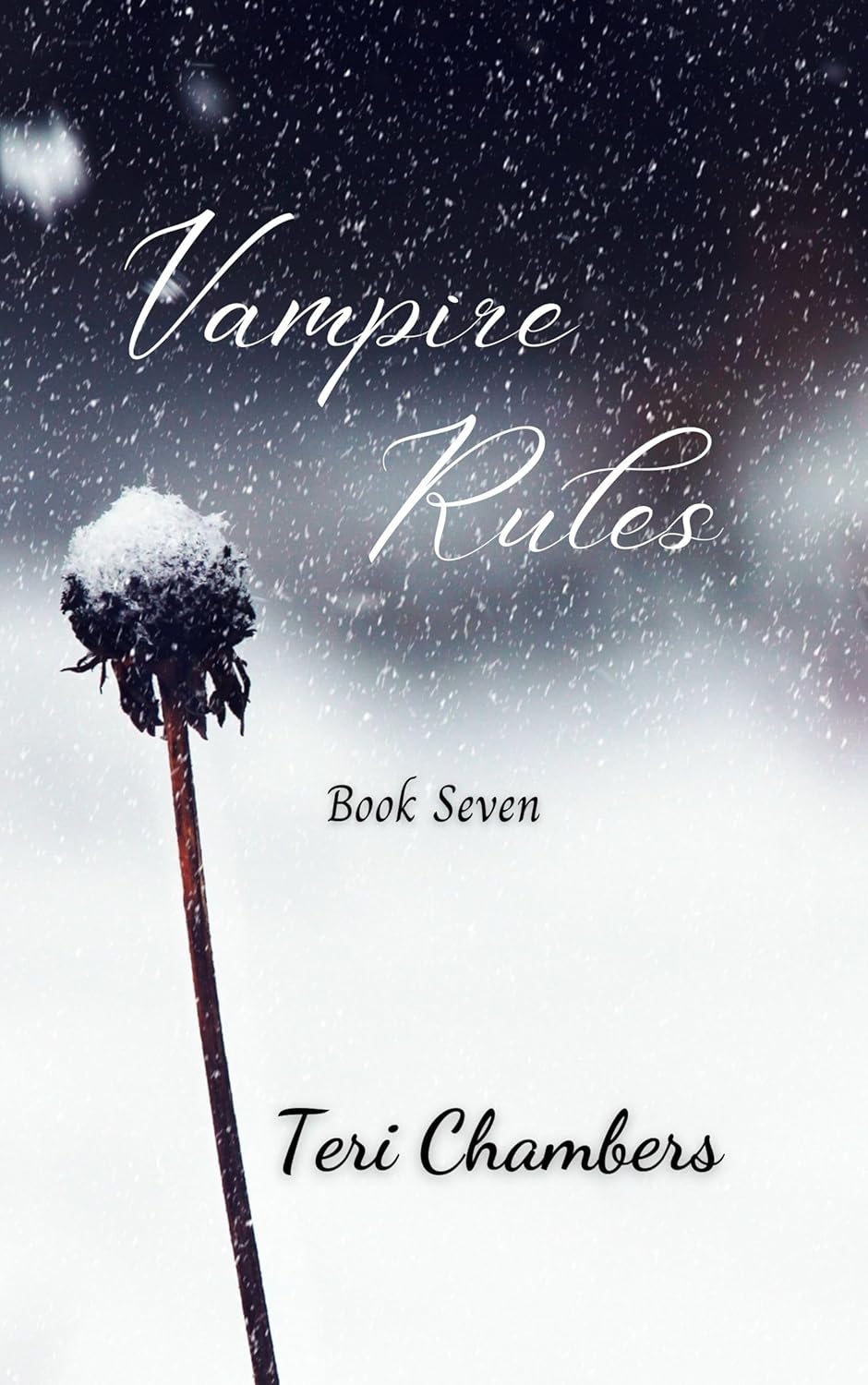 Amazon.com: Vampire Rules (Vampire Illusion Book 7) eBook : Chambers ...