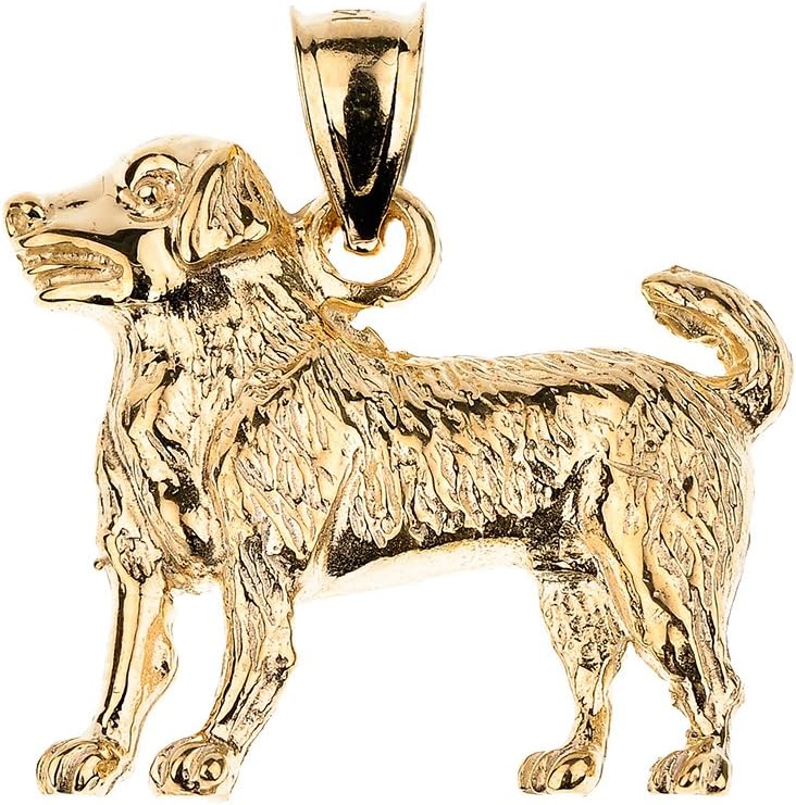 Amazon.com: Polished 14k Yellow Gold Labrador Retriever Dog Charm ...