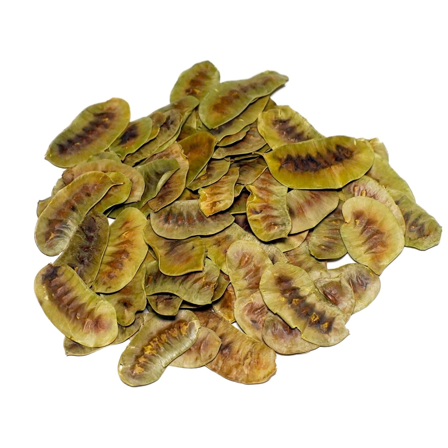 Amazon.com : MOTHERLAND GOODS Senna Pods, Senna Organic herbal tea ...