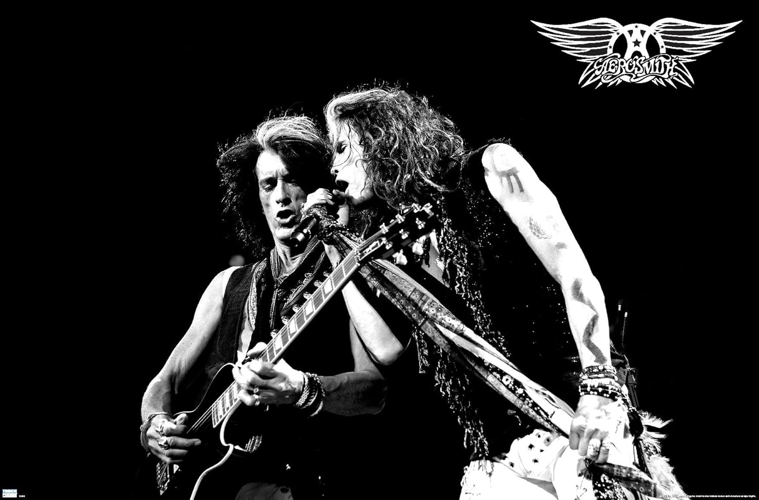 Amazon.com: Trends International Aerosmith - Tyler and Perry Wall ...