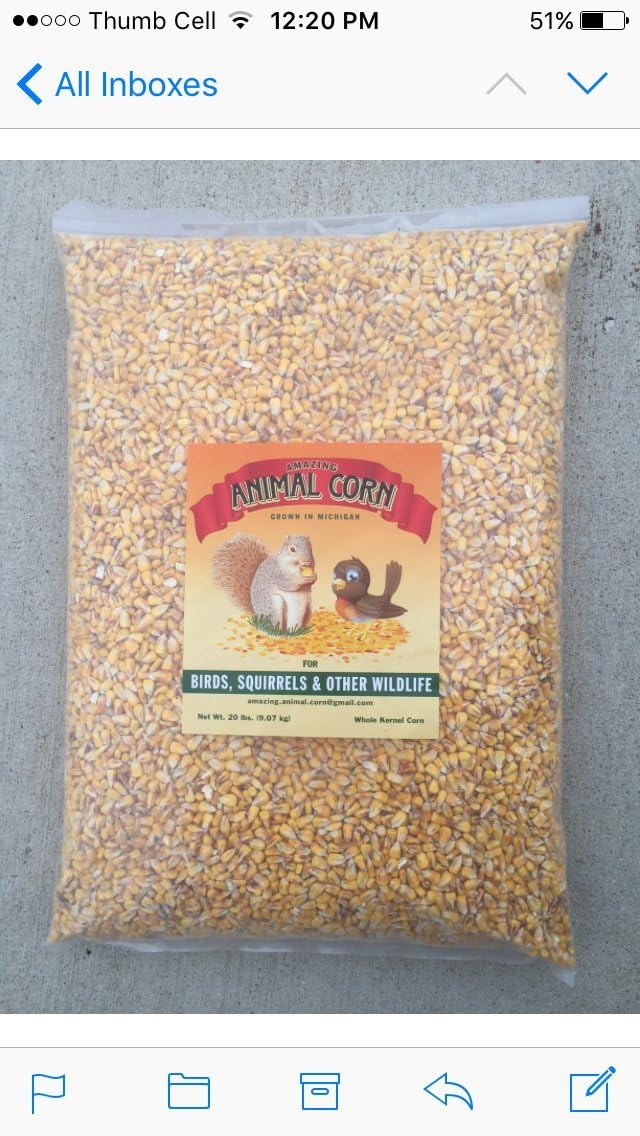 Amazon.com: Whole Shelled Corn : Grocery & Gourmet Food