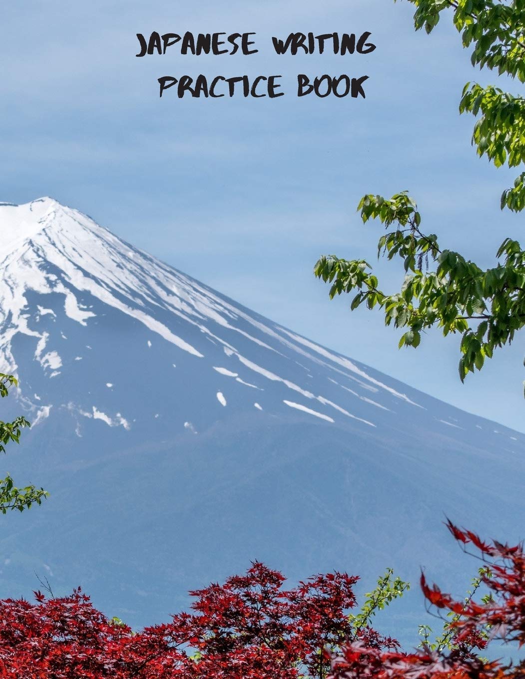 Buy Japanese Writing Practice Book: Practice Writing Japanese Alphabet ...