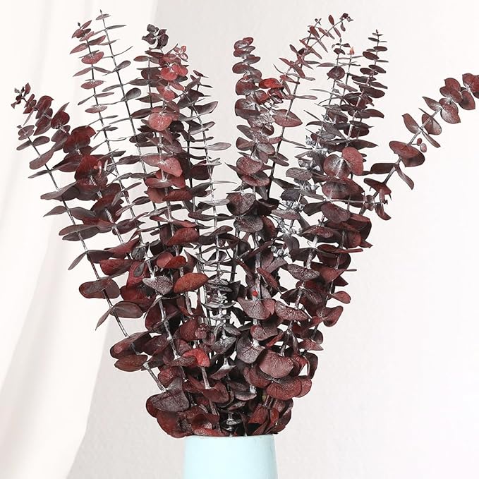Amazon.com: Jtoder 20 Pcs Dried Eucalyptus Stems, 17'' Natural Real ...